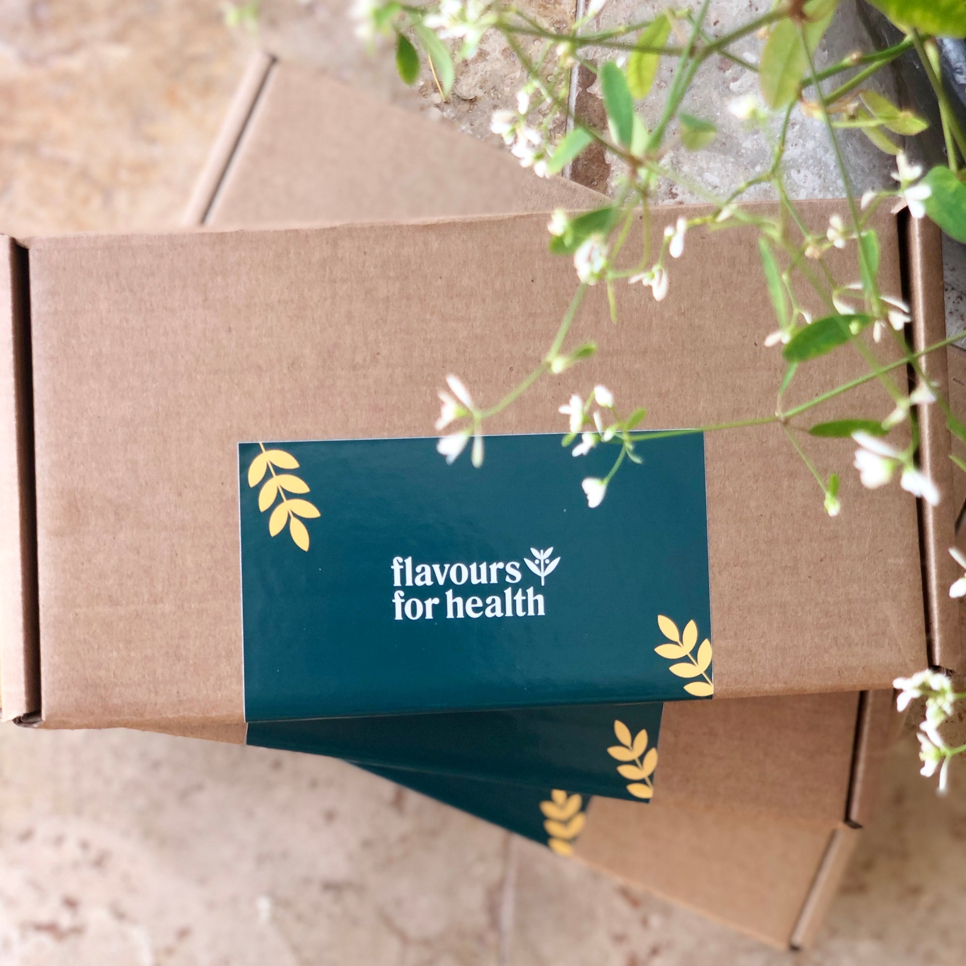 Mini Snack Box – Flavours for Health